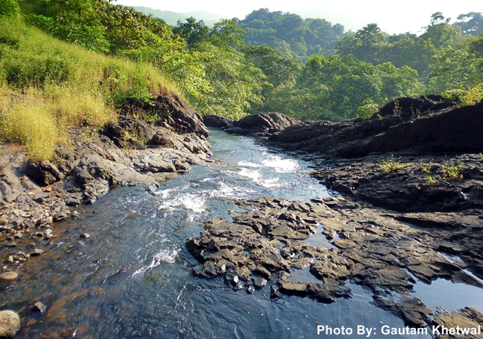 Yeoor Hills, SGNP, Thane: Yeoor Hills River