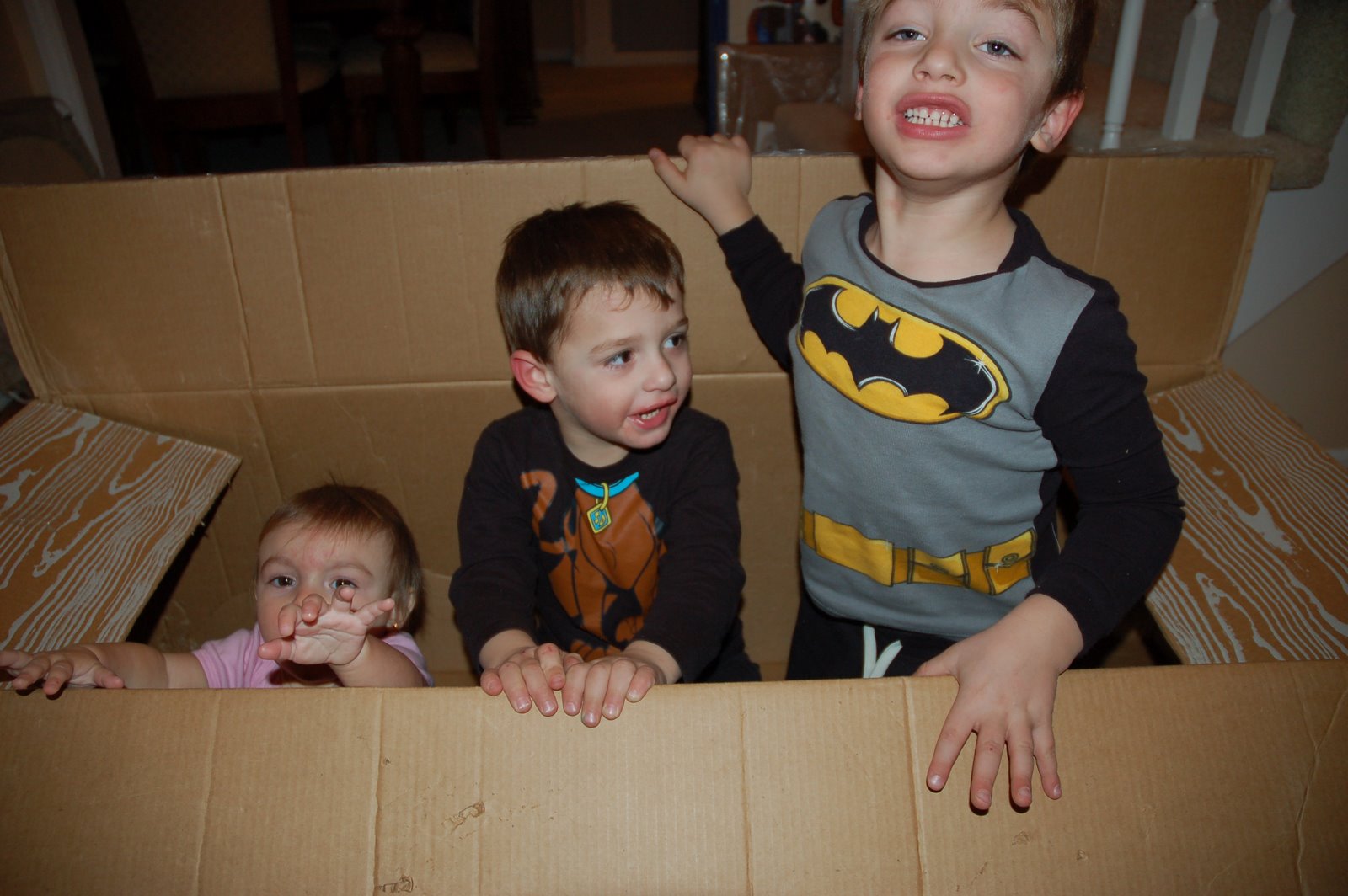 The Wollen Kids: Kids in a Box