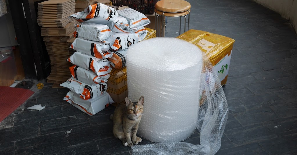 A Bubble Wrap Cat and Uploads - Isidor's Fugue