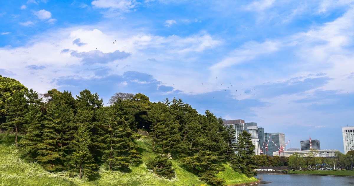 Japan via Portland: Ebbs and Flows