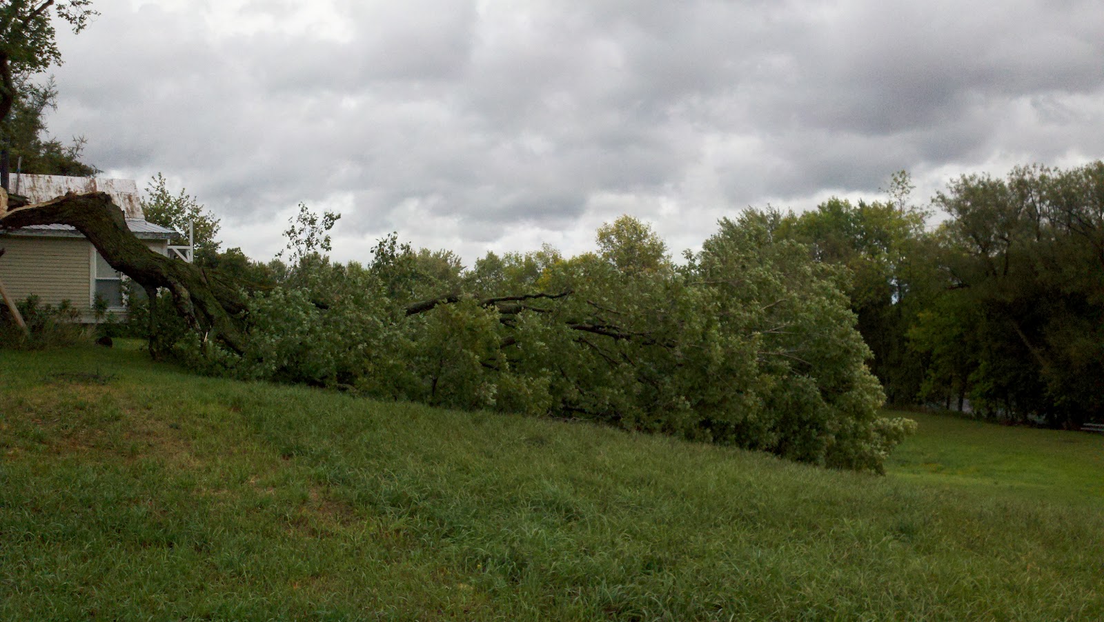 MaryHardingJewelry Bead Blog: Wild Windy Day