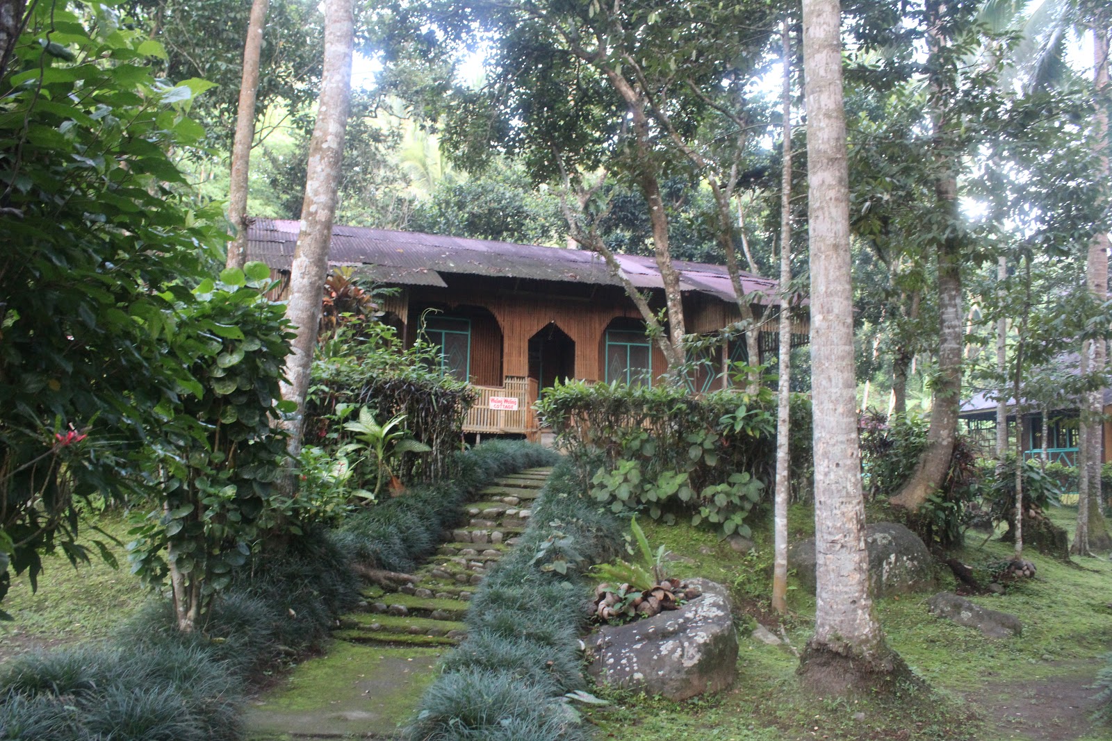 LEXICAL CROWN: LILIW RESORT: A COMPLETELY LUSH FOREST PARADISE