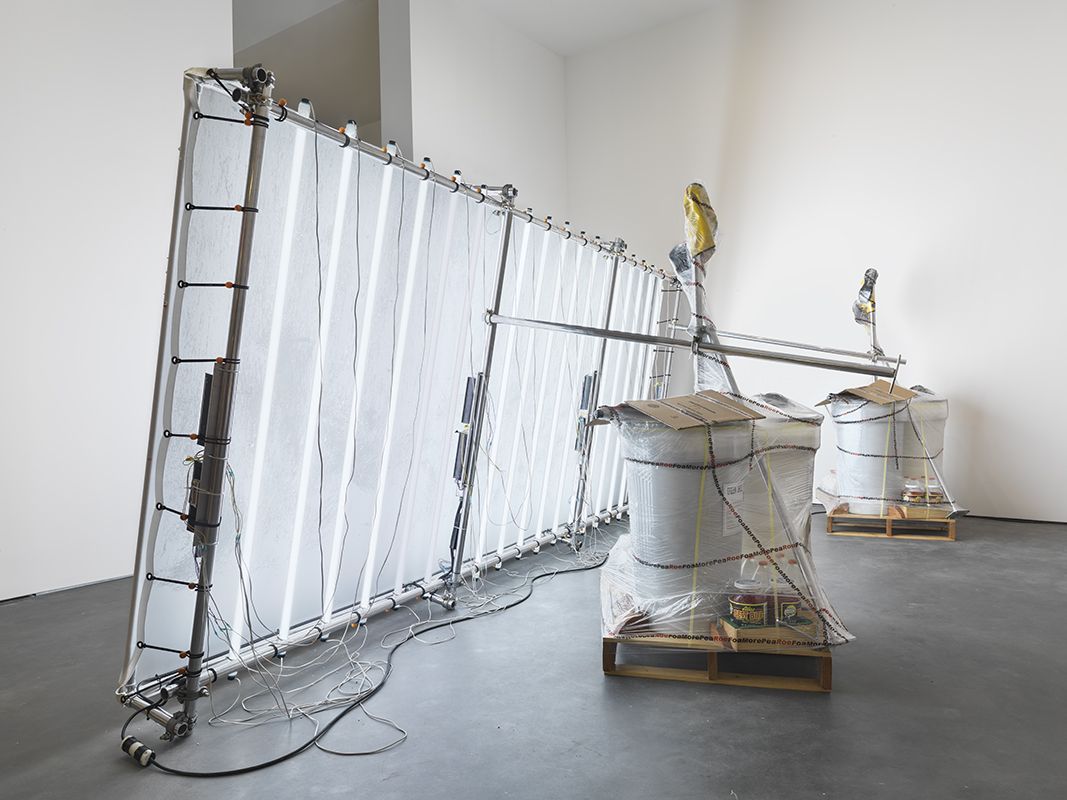 a f a s i a: Jason Rhoades