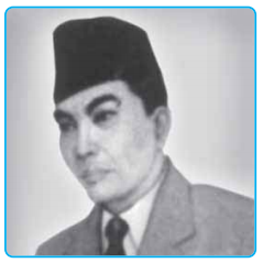 Biografi Mr. Mohammad Yamin