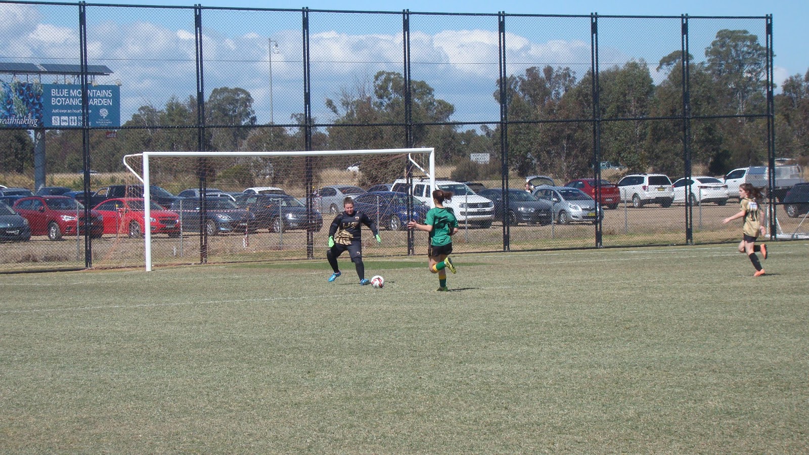 Holroyd Rangers Soccer Club Inc.: 2017