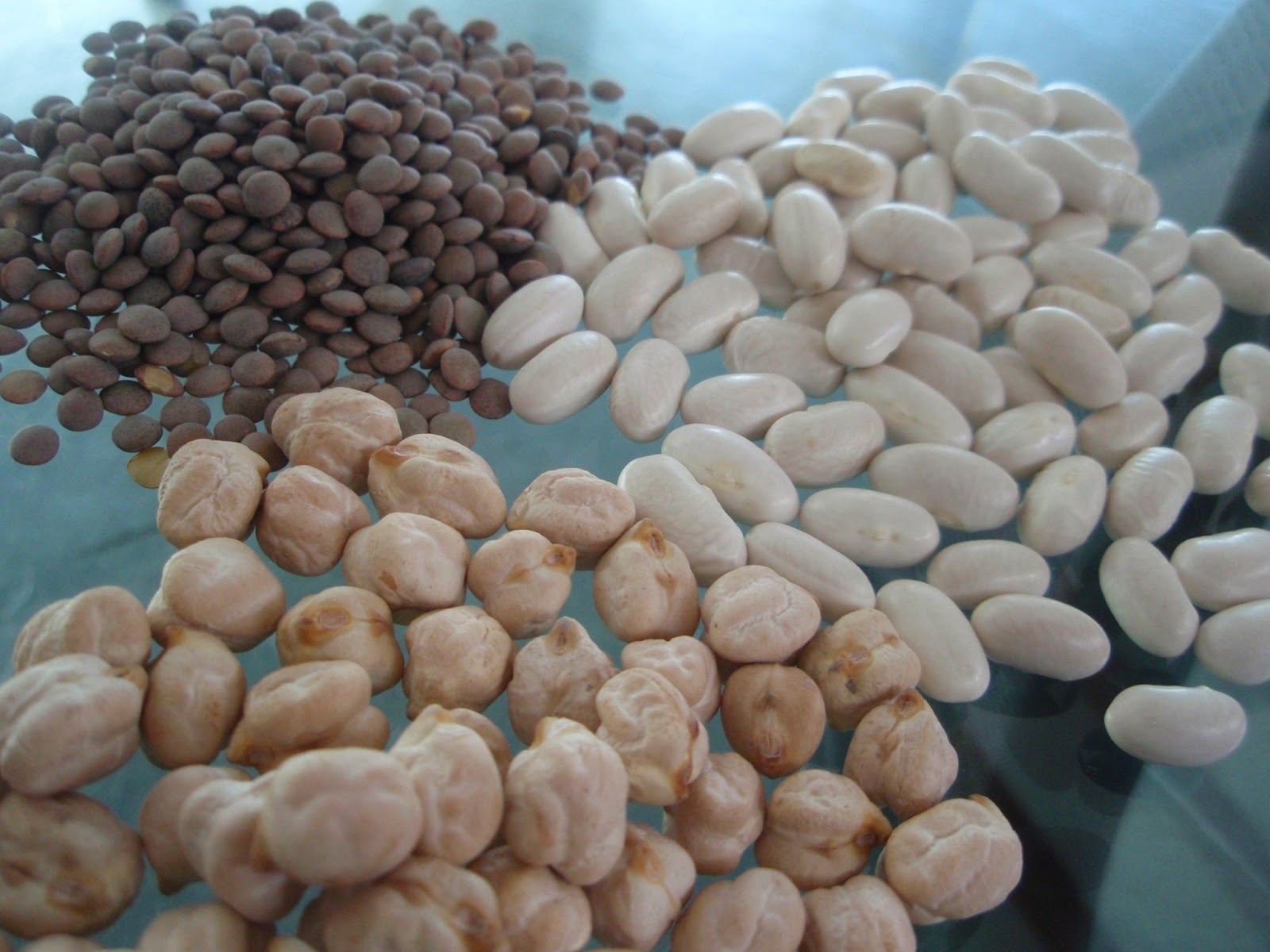 RECETAS CON LEGUMBRES