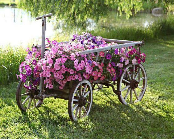Eye For Design: Decorating Indoors and Gardens With Goat Carts