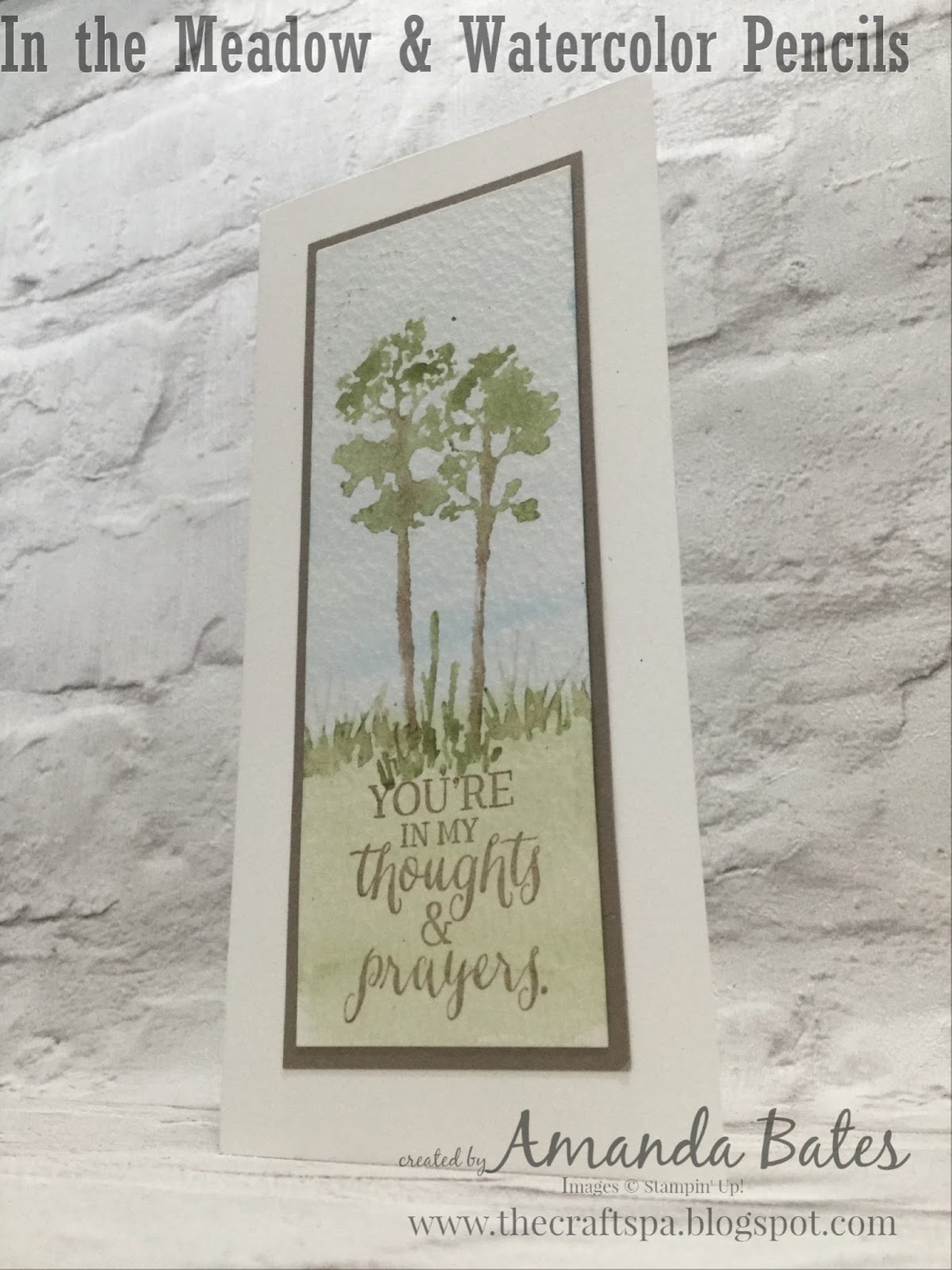 The Craft Spa - Stampin' Up! UK independent demonstrator - Order ...