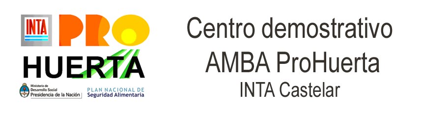 Centro Demostrativo AMBA ProHuerta INTA Castelar