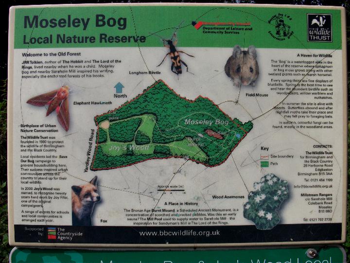Vinnyman's Birding and Nature Blog.: Moseley Bog Nature Reserve and ...