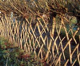 DESIGN BY NATURE: HOW TO BUILD A WATTLE FENCE (DIY)