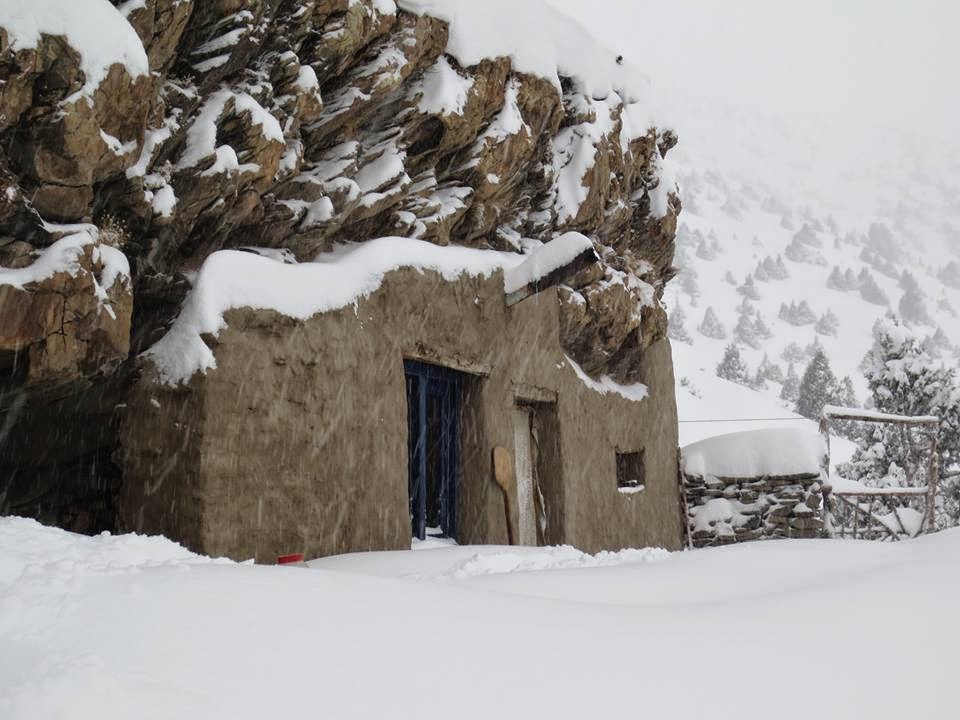 Words Not Flowing Goes Down : Offerings for Kalden