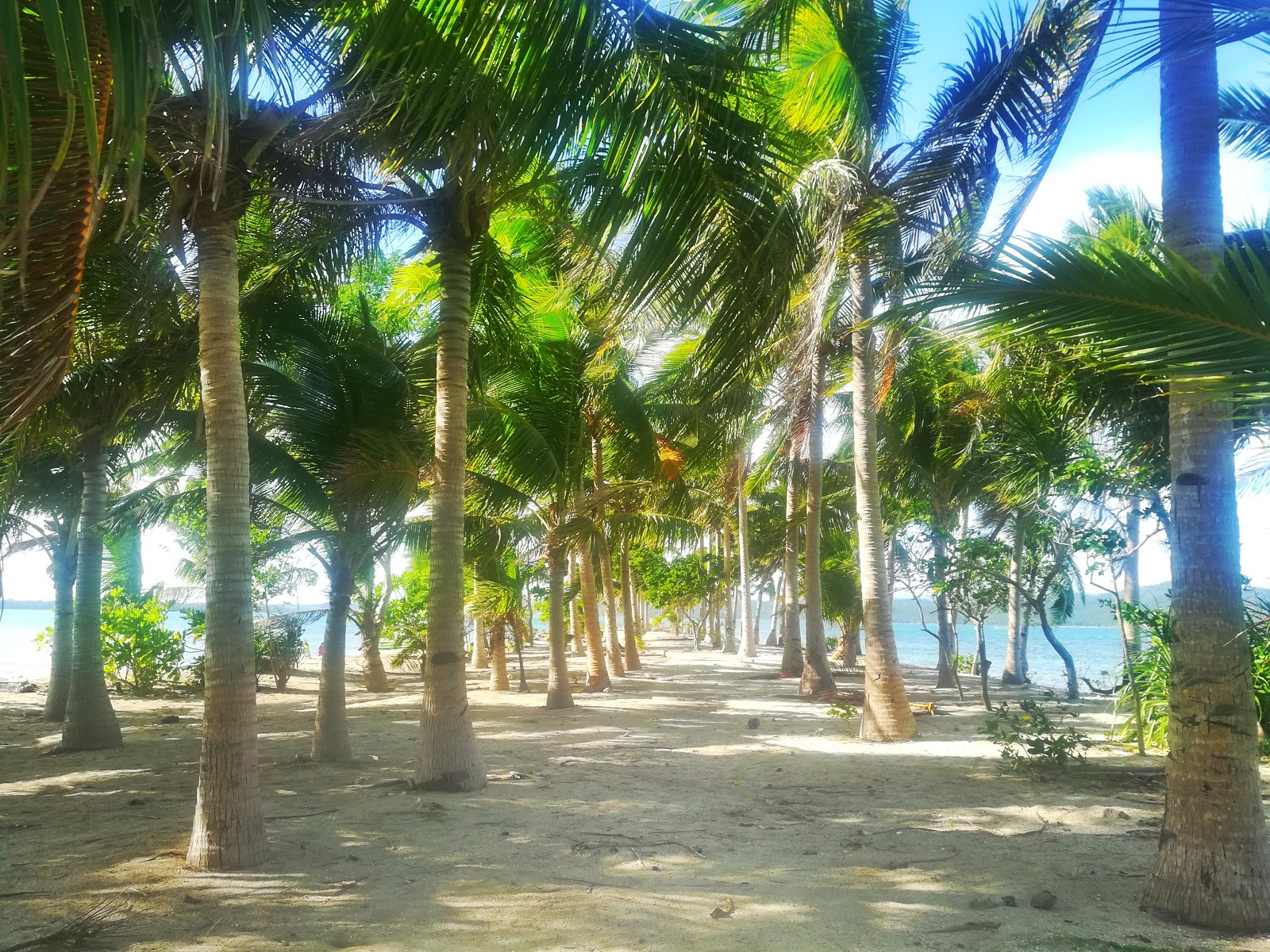 Malawmawan Island, Sorsogon: June 2017