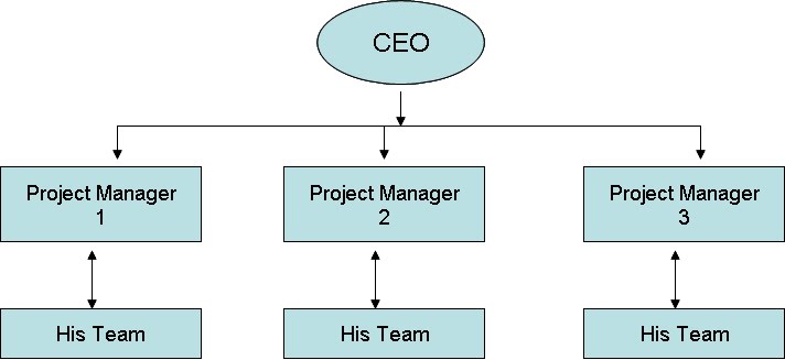 Become a Certified Project Manager: Chapter 11: Understanding the ...