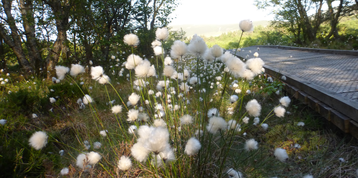 best part of the day: Red Moss Kips Race