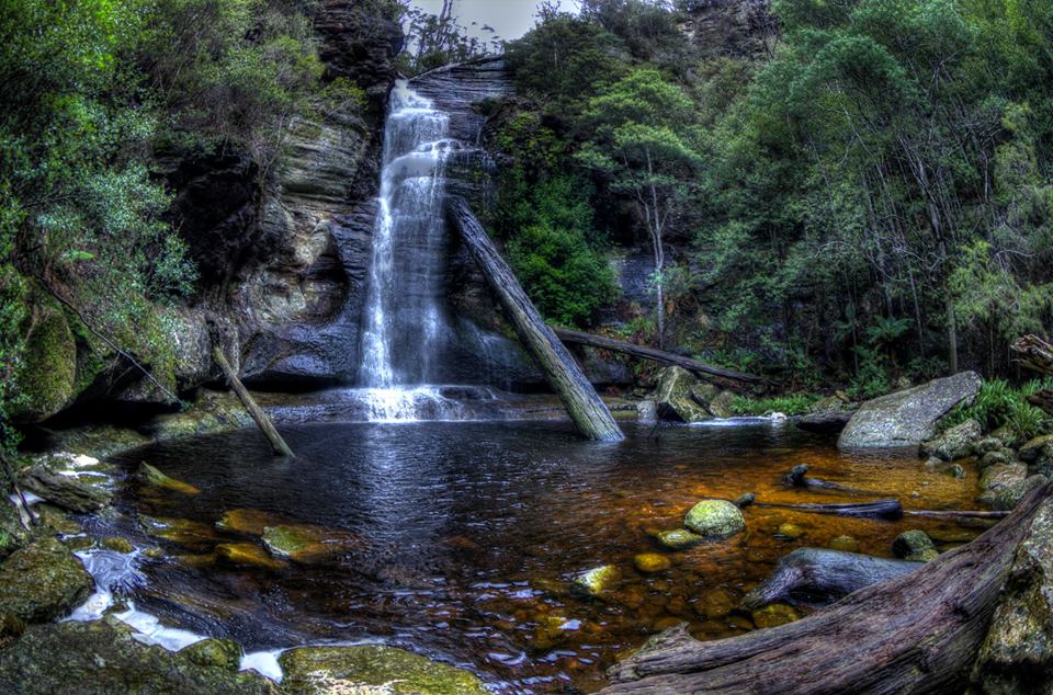 Our Walk a Month: Snug Falls and Coningham Cliffs, July 2013