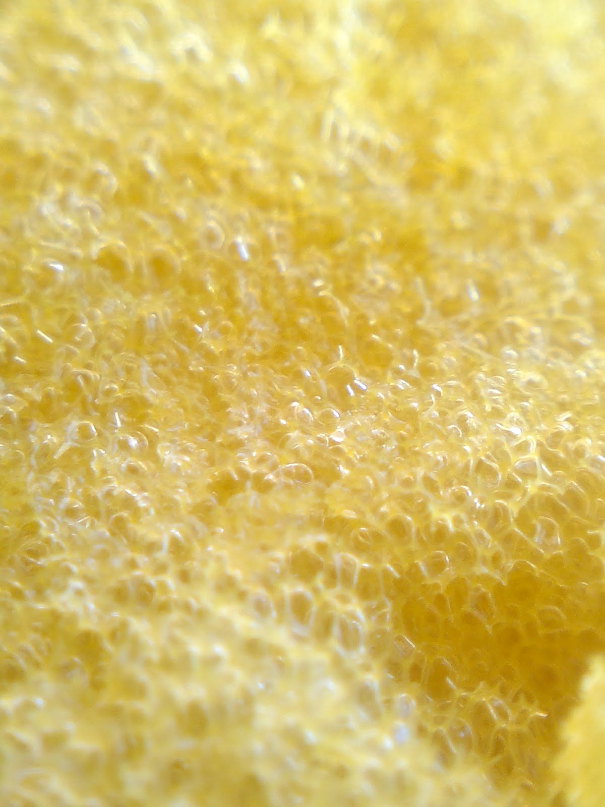 kitchen sponge | Macro with my Nokia