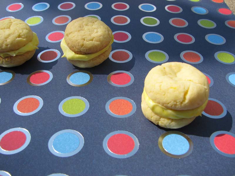 Cookie Art: Cakesters