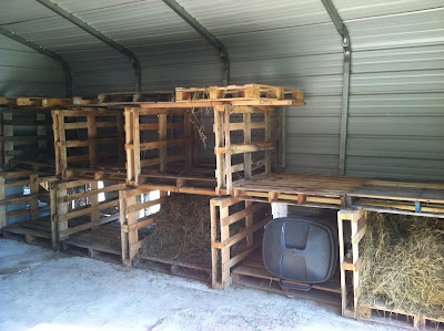 Homestead Catholic: My DIY Pallet Hay Rack