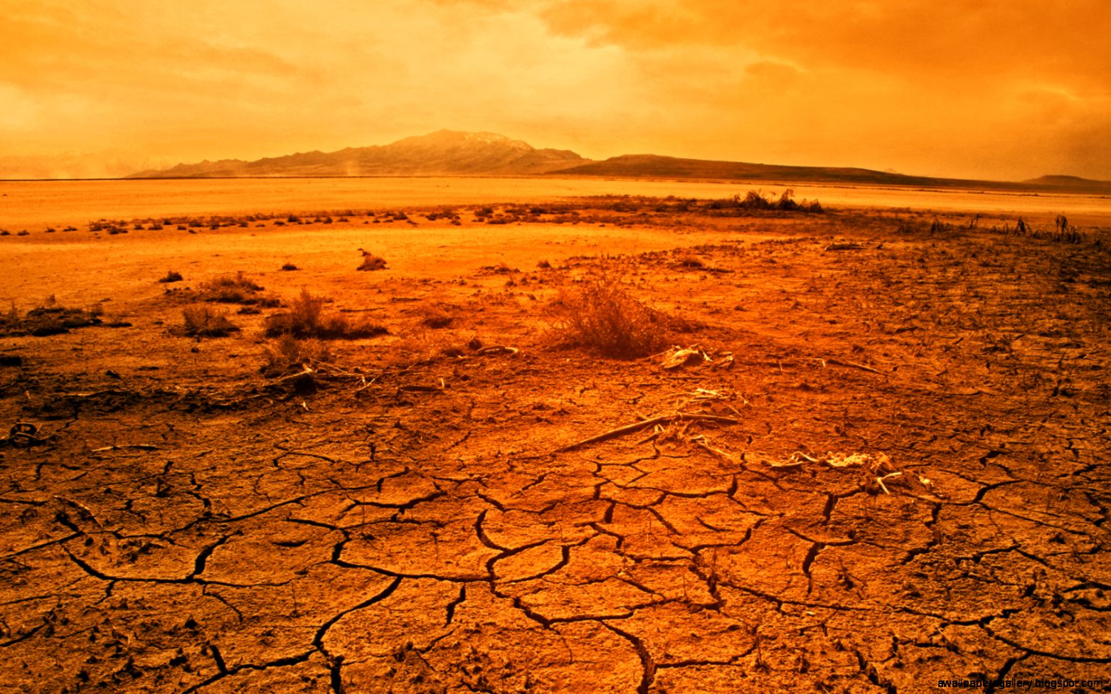 Hot Deserts | Wallpapers Gallery
