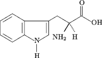 Proteínas e Aminoácidos: Triptofano - Aminoácido