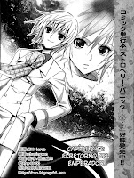 Yuri Dream: Strawberry Panic (Novelas y manga)