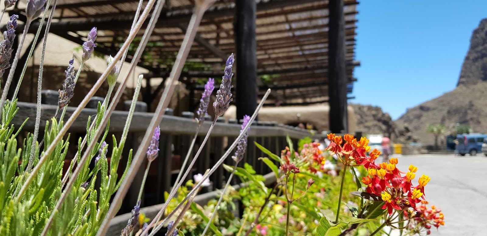 Die Canarios leben hier seit der Zeit der Altkanarier in Höhlenhäusern ...