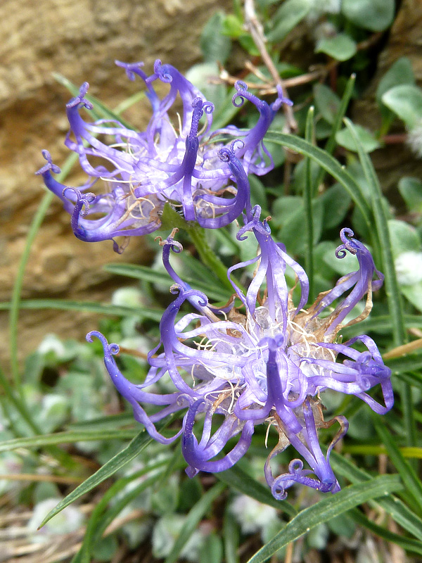 PASOS: Ibón y pico de Bernatuara desde Bujaruelo, 25 de julio