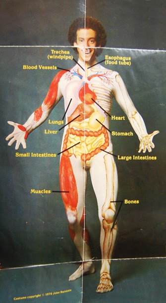Slim Goodbody Doctor