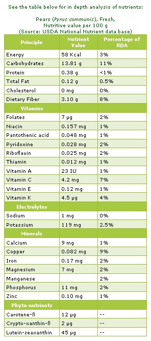 Pear Health Benefits And Nutrition Fact | signstarters