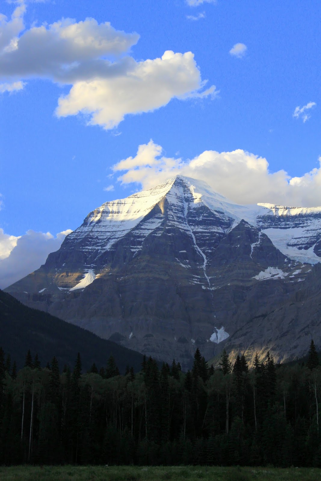 Serendipity and Orchids: Berg Lake Trail, Mount Robson Provincial Park ...