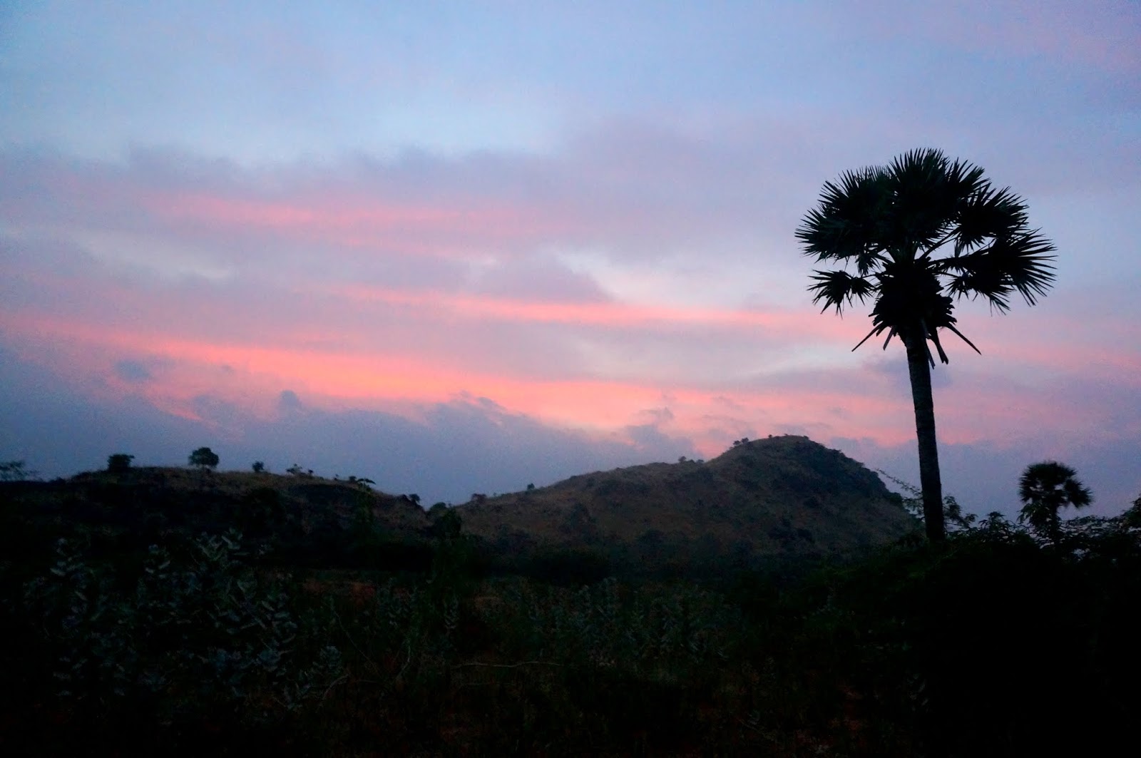 2 Weeks in India | 72 hours in Alwarkurichi & Video Diary