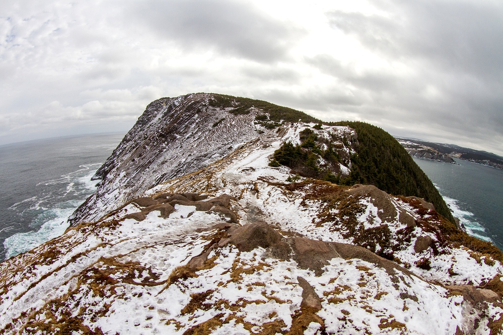 Bitstop: Torbay Point