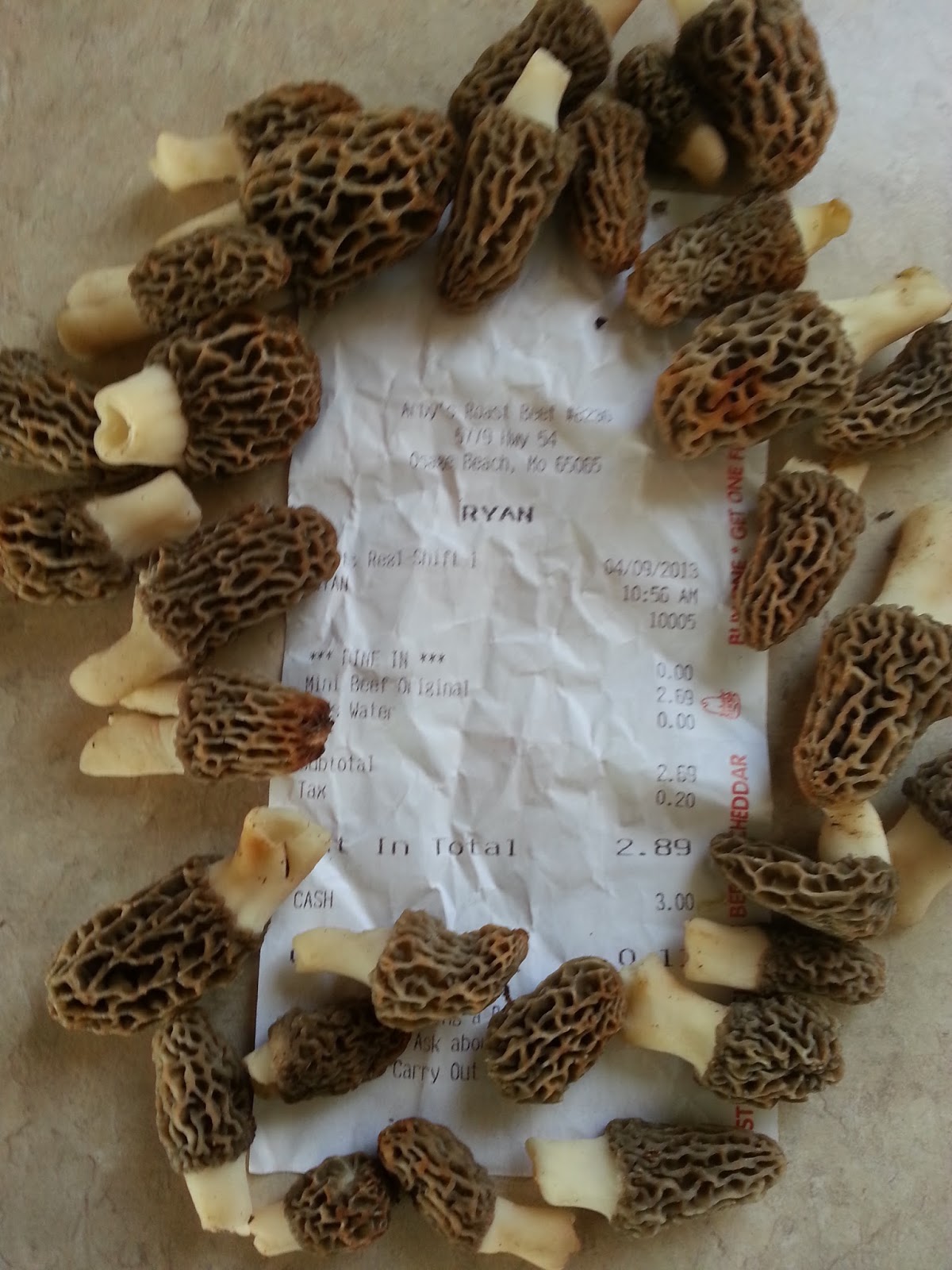 Mid Missouri Morels and Mushrooms