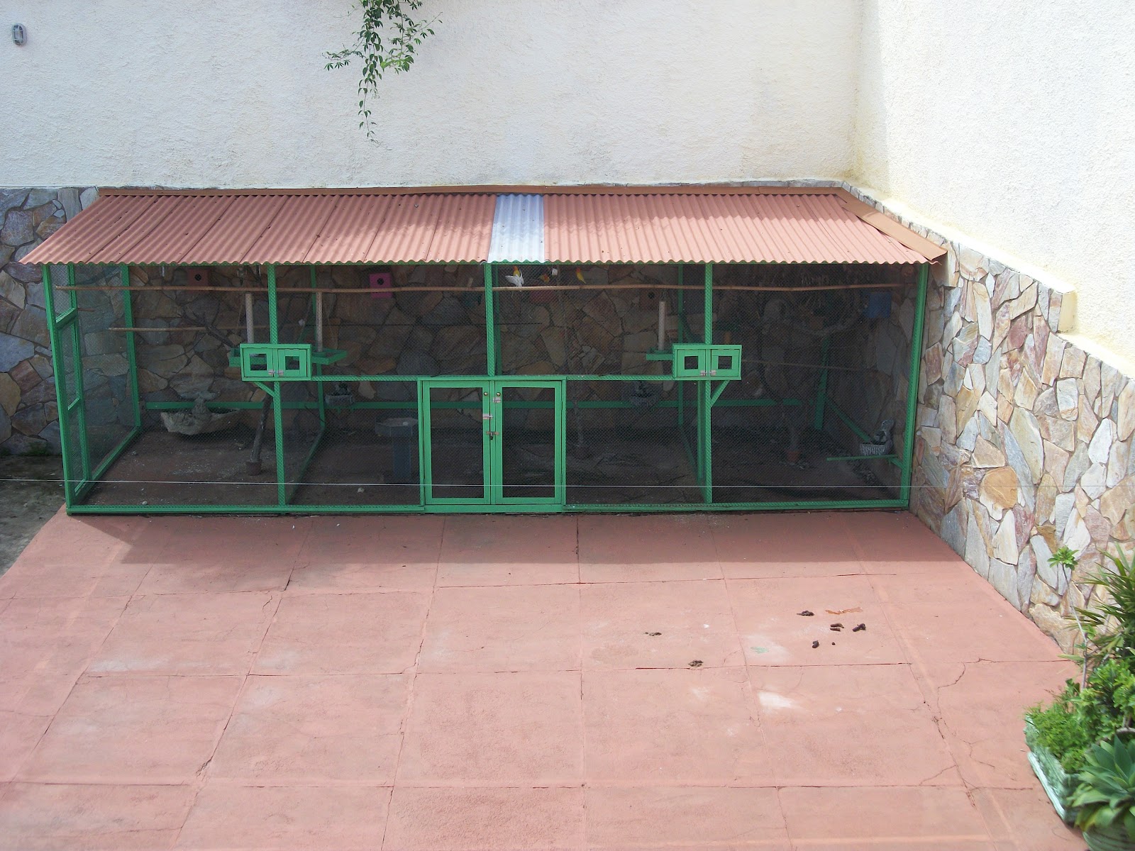 Pássaros Ornamentais: Espécies do meu Aviário.