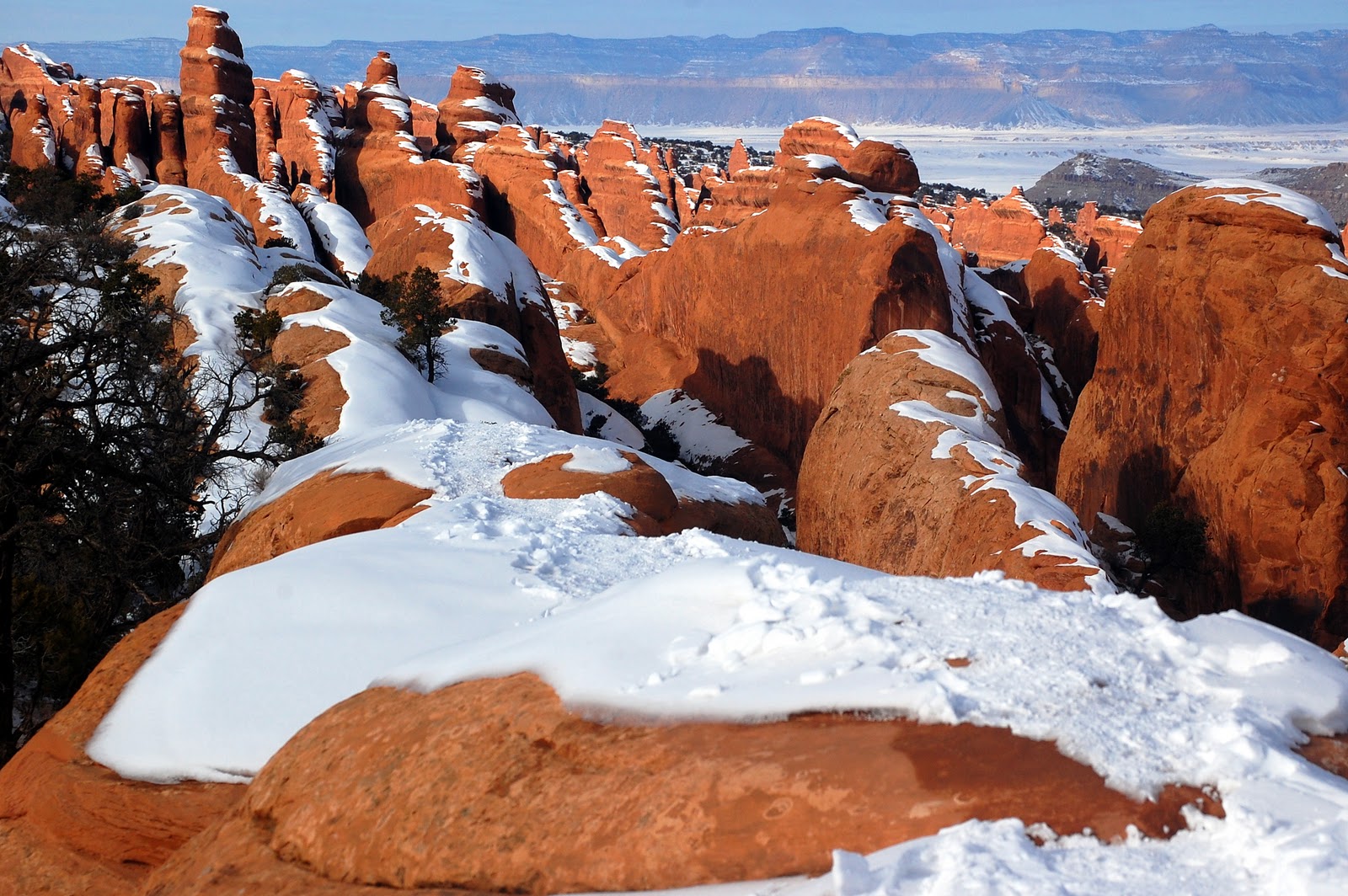Insert Catchy Title Here: Winter in Arches National Park