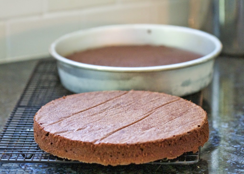 Paleo Chocolate Birthday Cake recipe