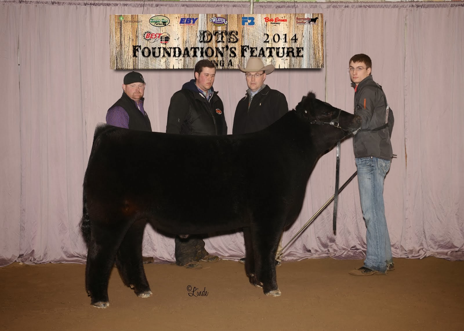 DIAMOND G CATTLE CO.