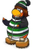 Club Penguin Custom Penguins