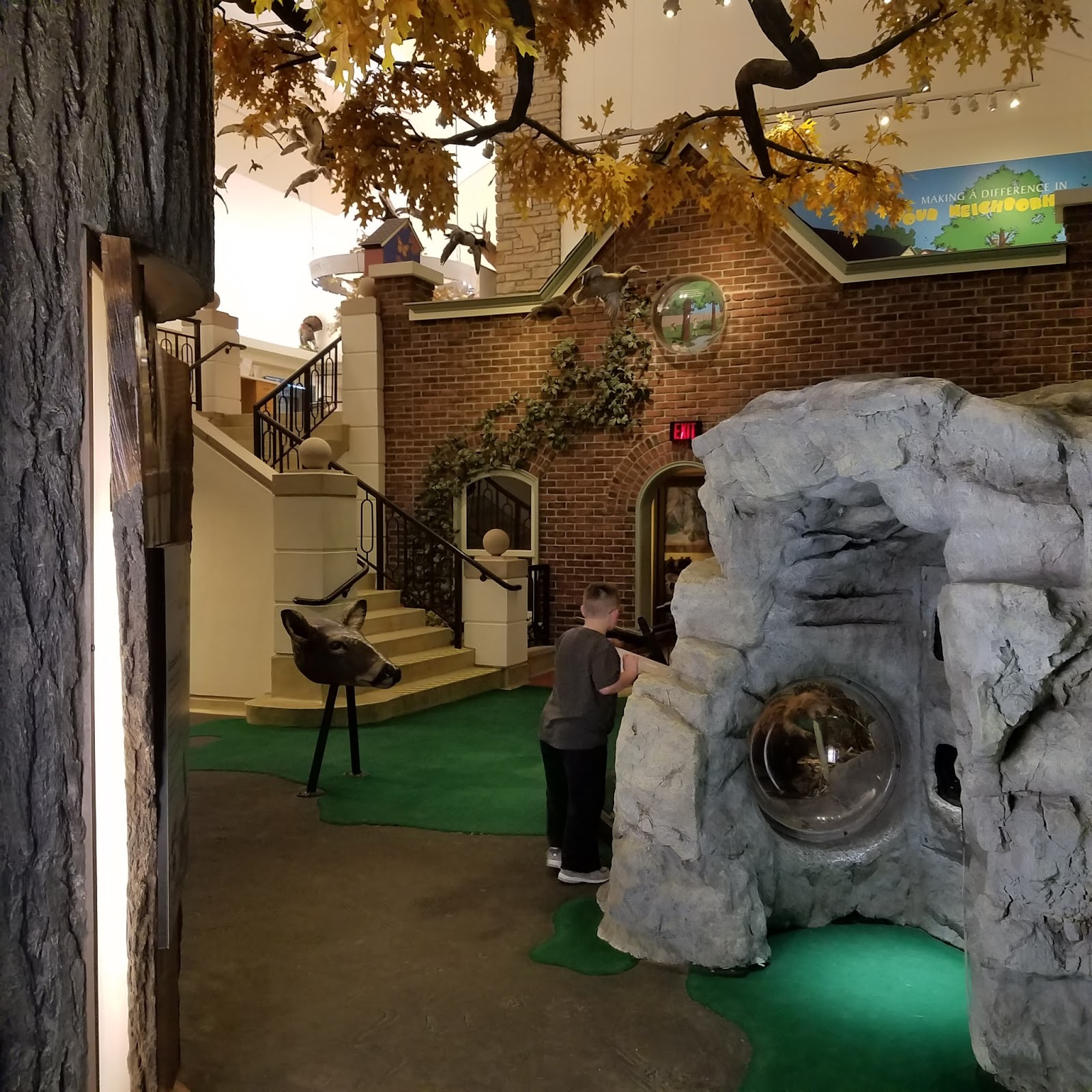 Play St. Louis: Powder Valley Nature Center, Kirkwood