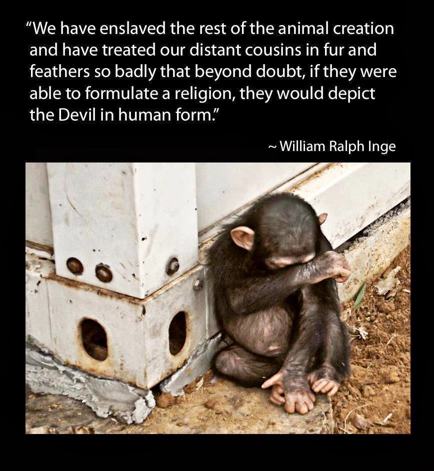 Quotes About Humans And Animals. QuotesGram