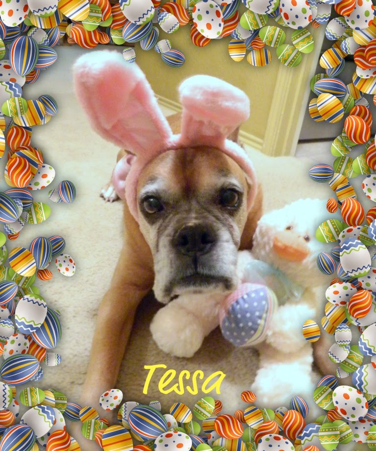 Matilda's Boxer Banter: The Easter Boxers are here!