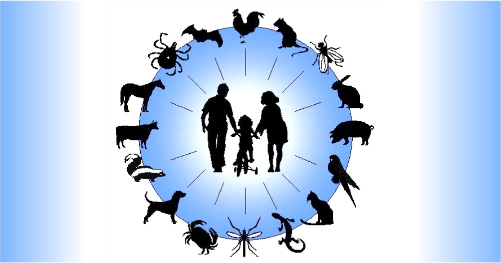 Center Vet: Saiba mais sobre as principais zoonoses - Infecções ...