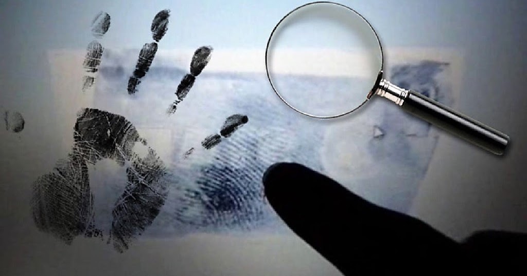 investigación criminal ~ El Crimen de la investigacion