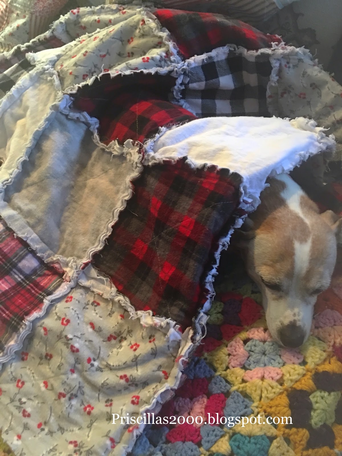 Priscillas: We Made Flannel Rag Quilts!