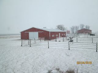 Cindy Quilts: Spring ? Break