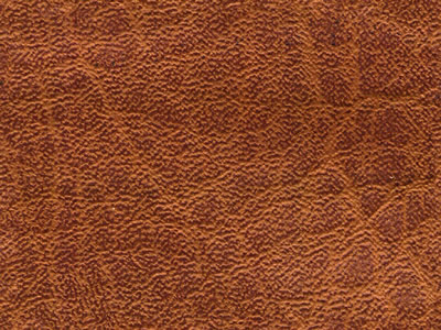 Honey Pizpireta: Tutorial: Cómo diferencial el cuero de lo que no lo es