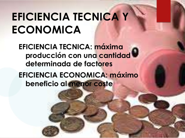 MACUECONOMIA: Sobre rendimiento, Eficiencia, Costes y Beneficios en la ...
