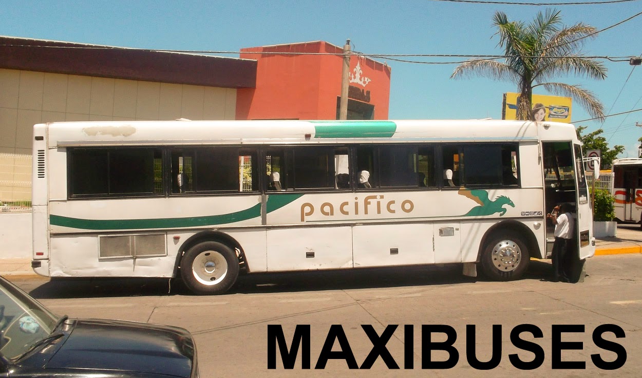 MAXIBUSES: AUTOBUSES PACÍFICO