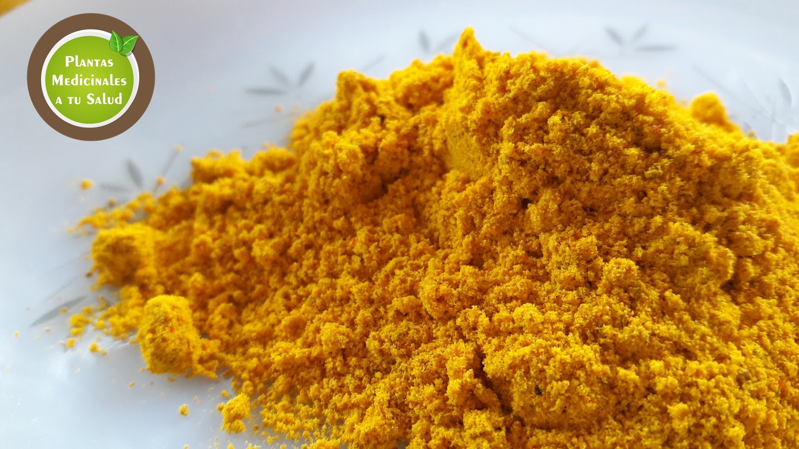 PLANTAS MEDICINALES A TU SALUD: Cúrcuma, medicamento y condimento ...